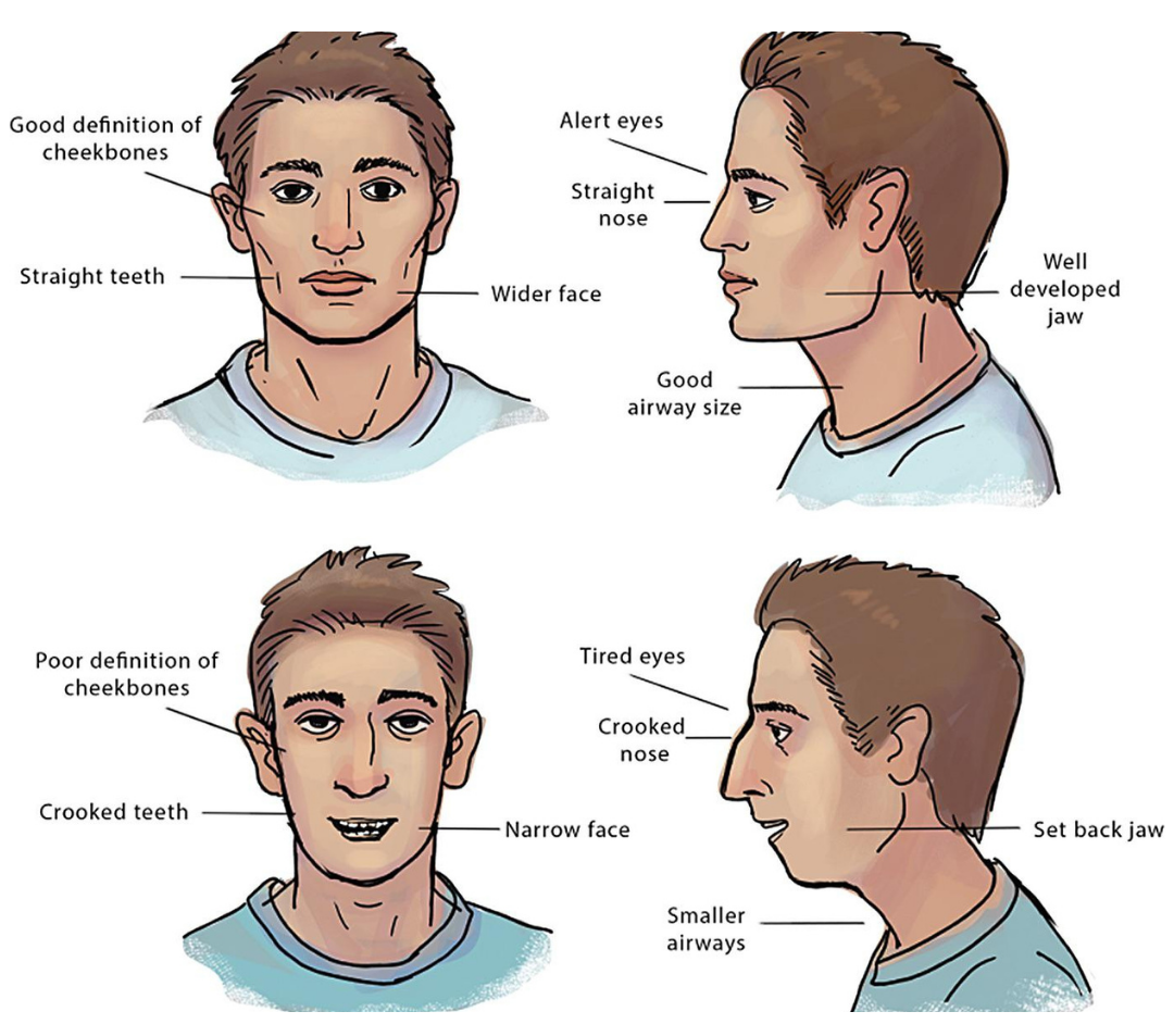 Dýchání nosem | MINT Terapie